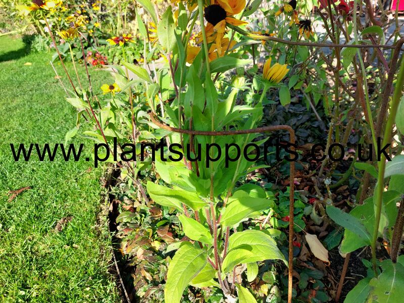 Arc pack of 4 27cm x 56cm A0001 – Plant Supports (UK) Ltd