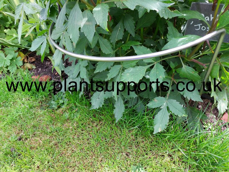 Arc pack of 3 43cm x 45cm A0096 – Plant Supports (UK) Ltd