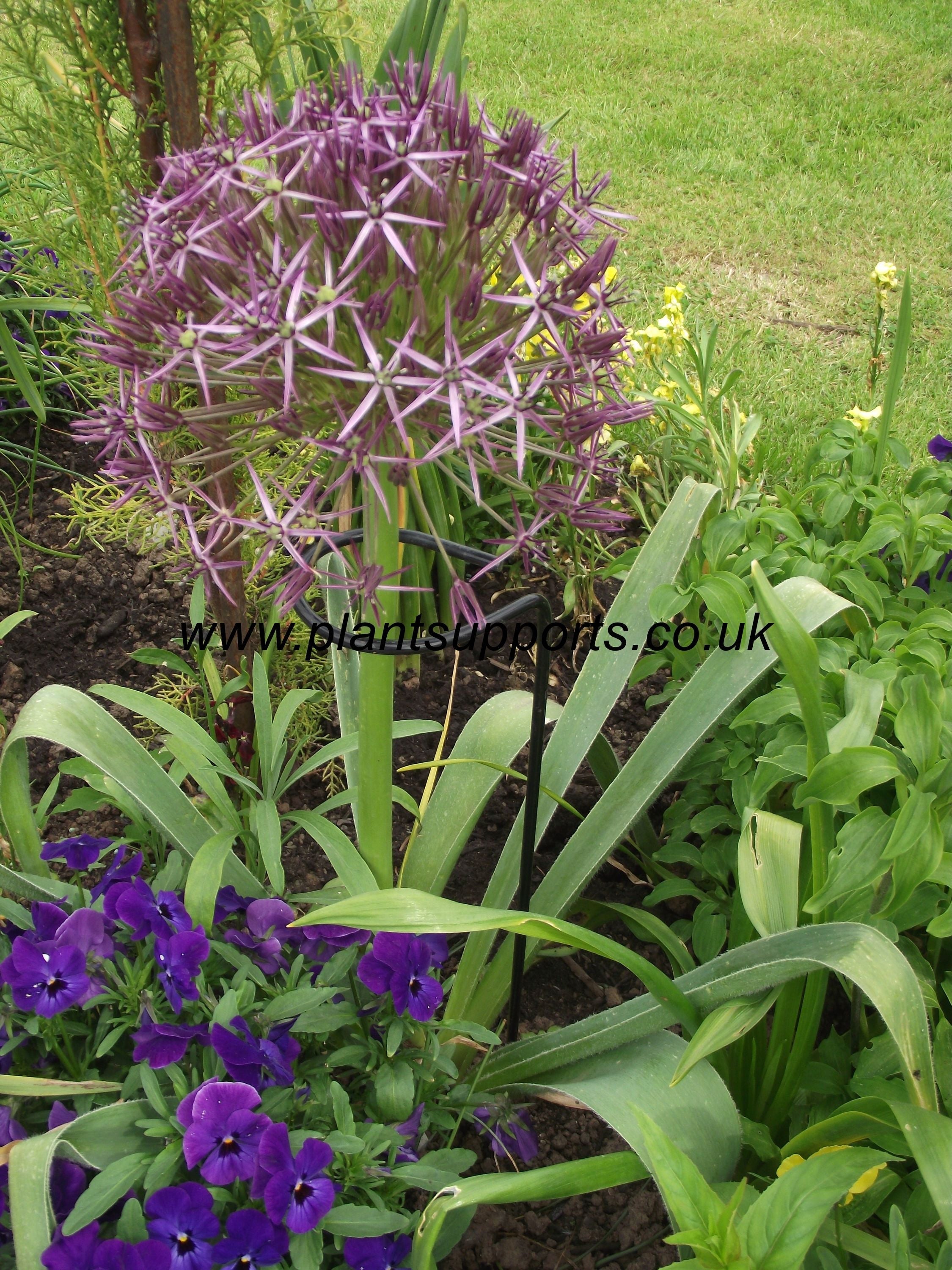 Loops and single stem Support – Plant Supports (UK) Ltd