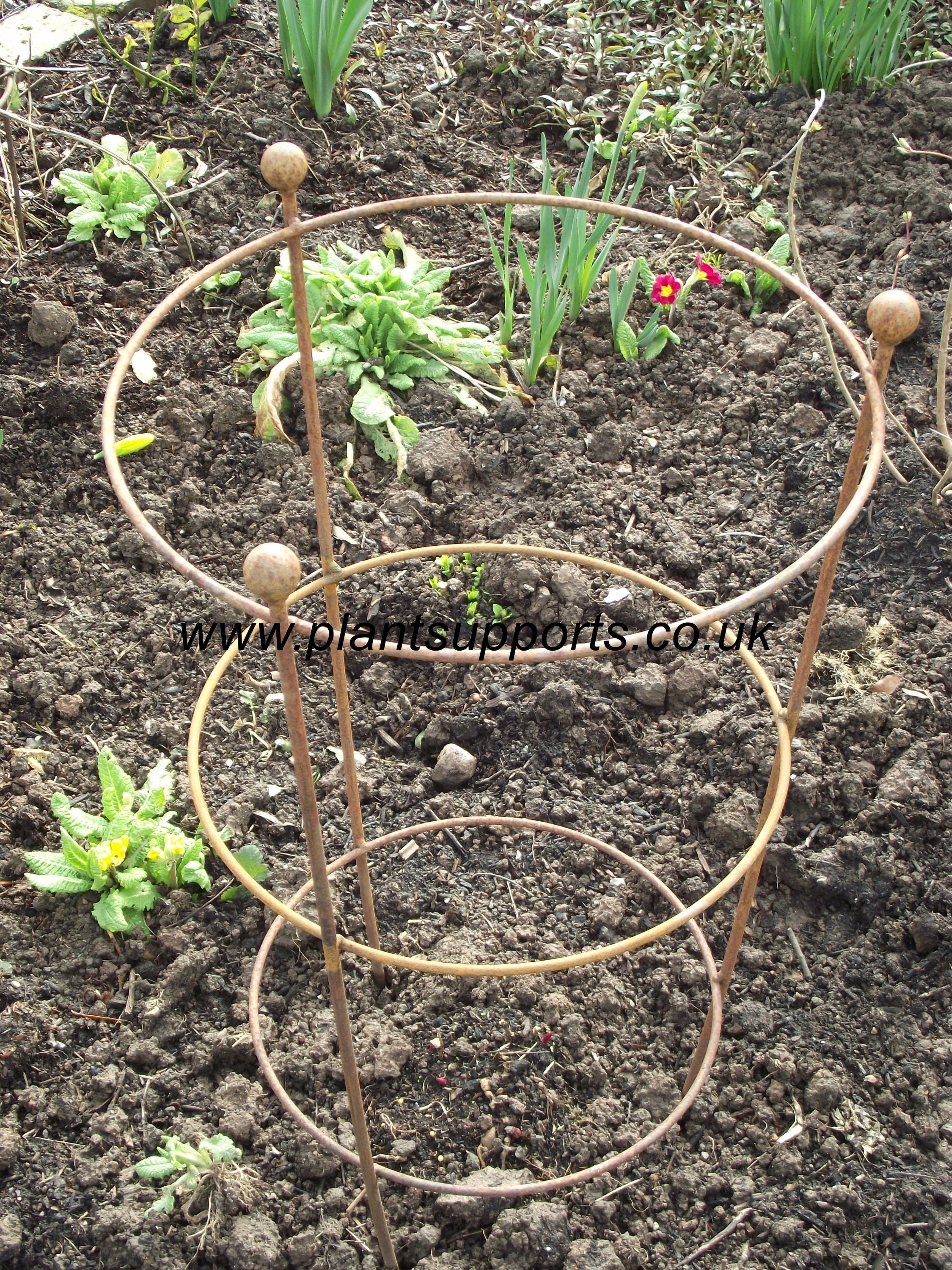 Rose / Peony Cones – Plant Supports (UK) Ltd
