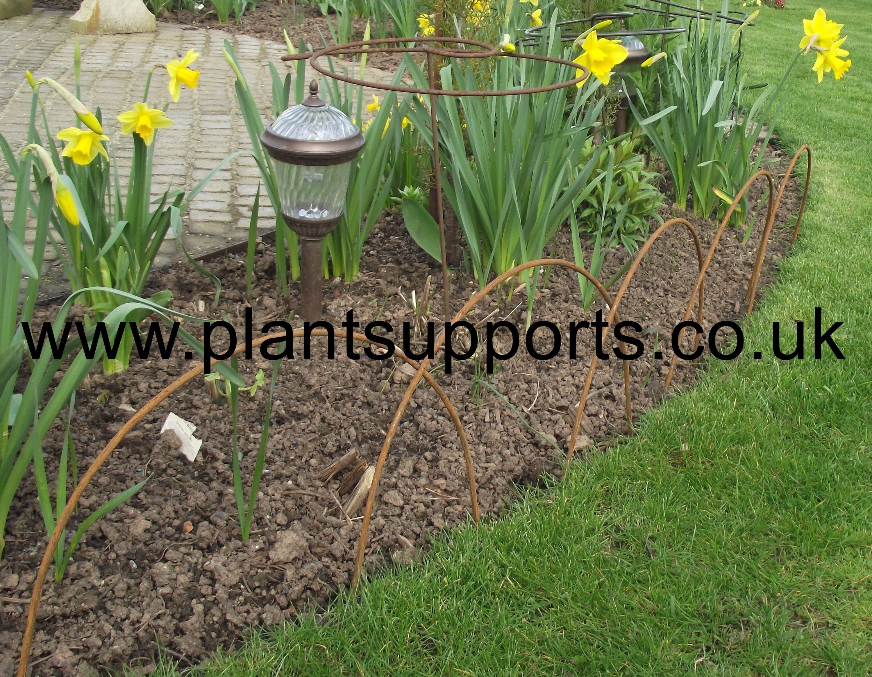 Edging Hoops – Plant Supports (UK) Ltd