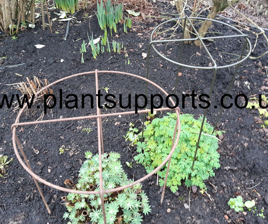 Grow Through (fixed leg) Pack of 10, 2 sizes 0005 – Plant Supports (UK) Ltd
