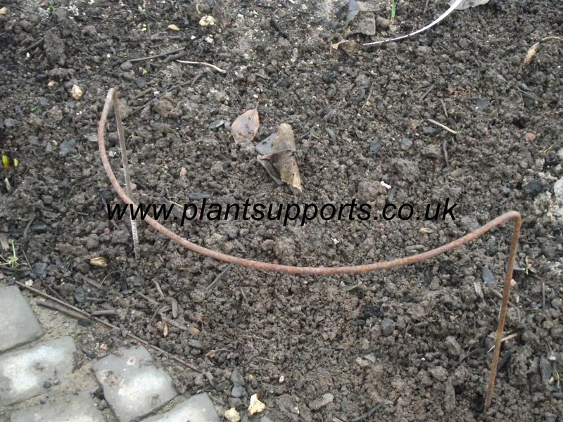 Arc Pack of 4 40cm x 24cm A0051 – Plant Supports (UK) Ltd