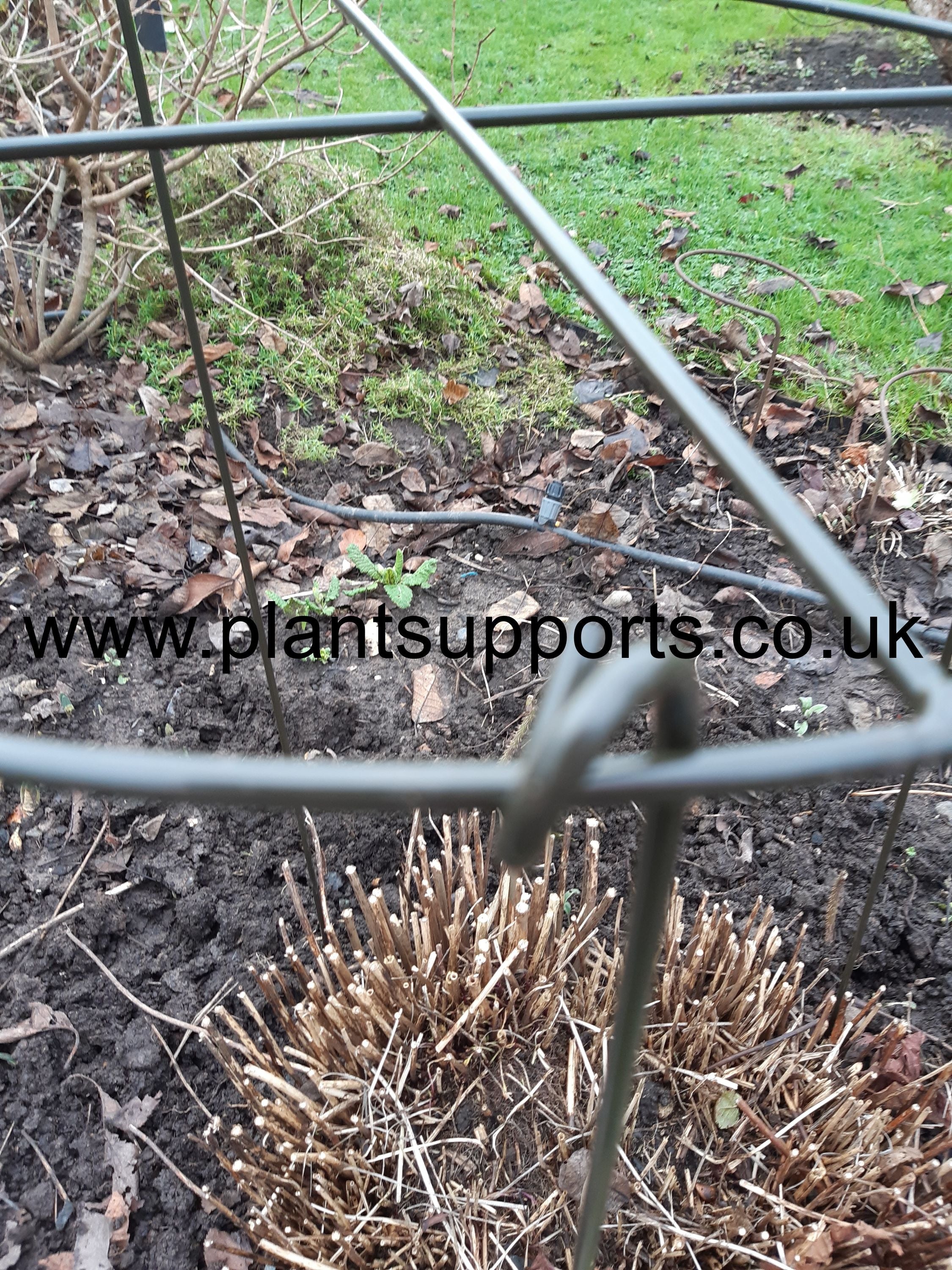 Grow Through (3 legs) 46cm x 94cm A0049- pack of 3 – Plant Supports (UK ...