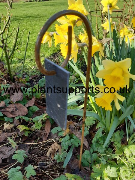 Label Hanger & Slate label pack of 5 A0104 Rustic – Plant Supports (UK) Ltd