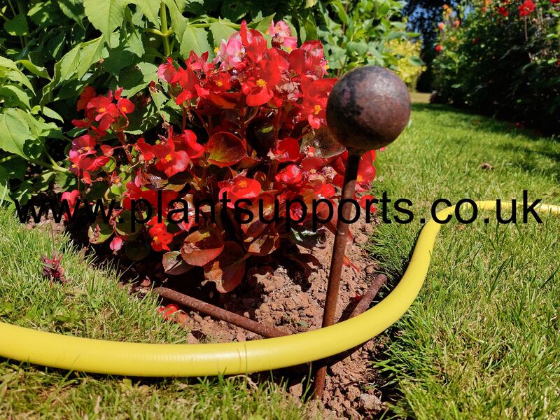 Wrought Iron Hose Guide with 50mm ball A0105 – Plant Supports (UK) Ltd