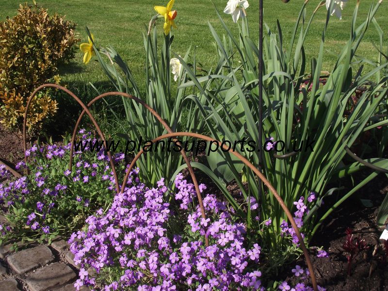 Rustic Iron Edging Hoop pack of 5 38cm high A0120 – Plant Supports (UK) Ltd